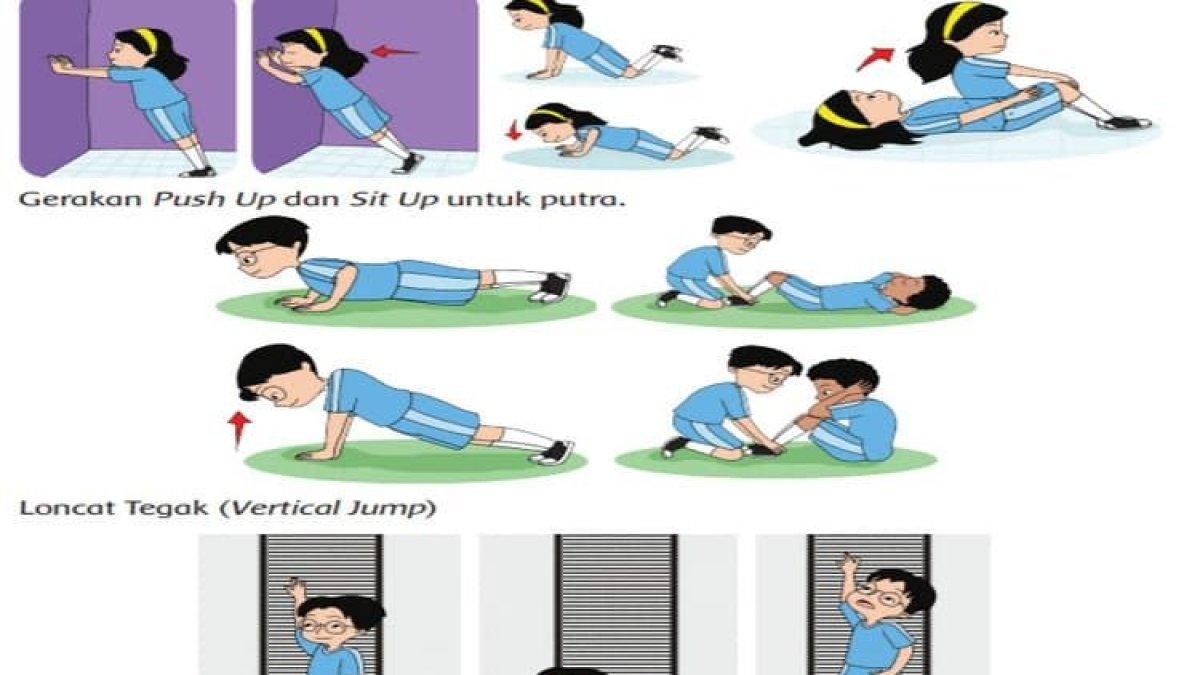 15 Kunci Jawaban Soal PJOK Kelas 2 SD/ MI Semester 1 Kurikulum Merdeka ...