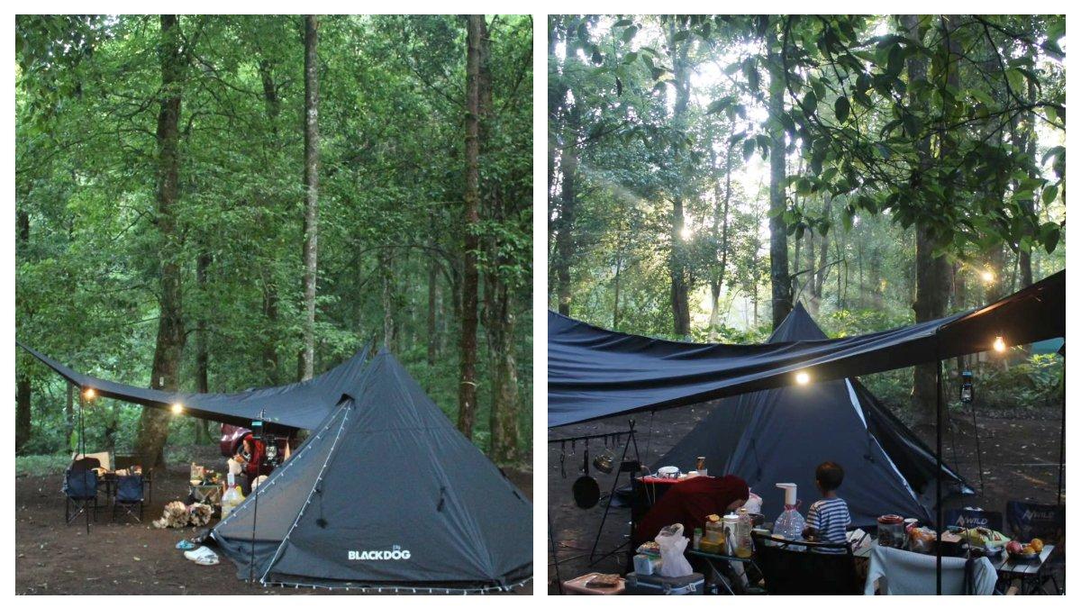 Bandung Jabar Punya Wisata Glamping Senyaman Ini, Serasa Tidur di Rumah ...