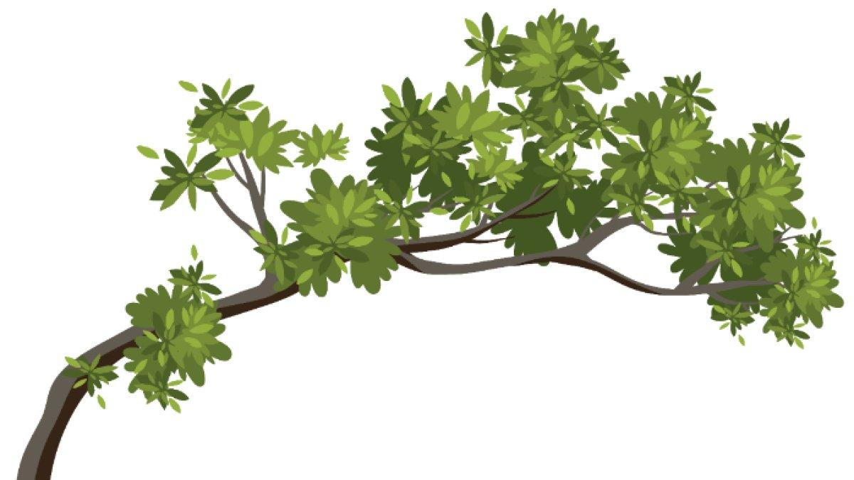 SOAL & KUNCI JAWABAN UAS PAS Kelas 3 Tema 2 Semester 1, Berapakah ...