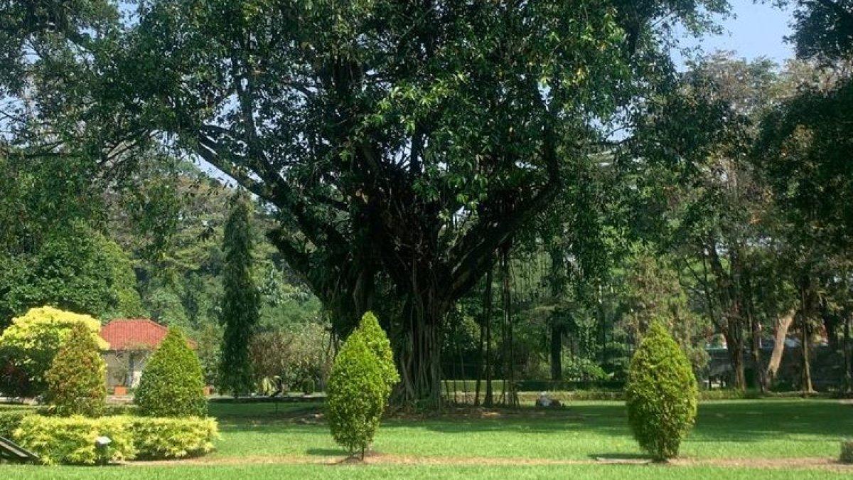 Rekomendasi Wisata Alam di Bogor untuk Libur Lebaran 2025, Hanya 3 Km ...