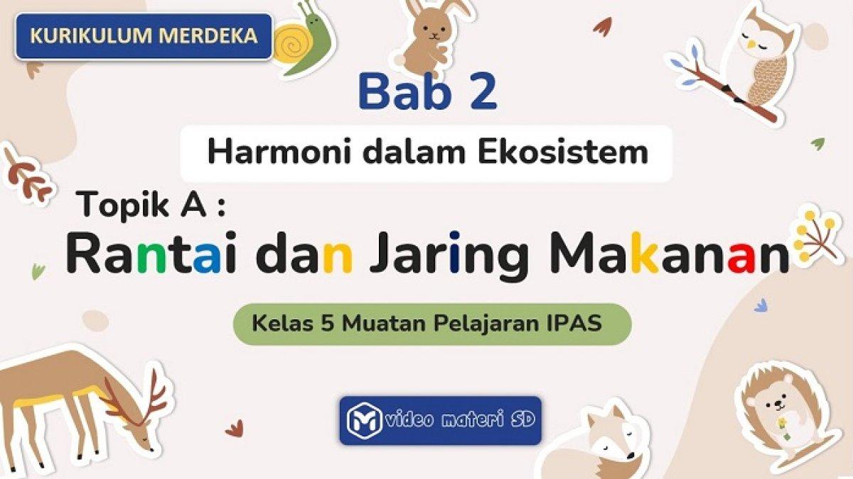 Kunci Jawaban Soal IPAS Kelas 5 : Bagaimana Ekosistem dalam Rantai ...