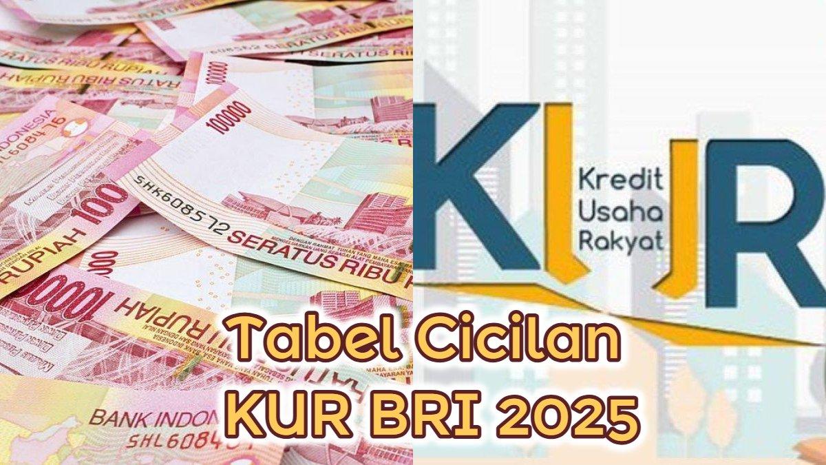 Tabel Cicilan KUR BRI 2025, Cek Angsuran Tertinggi & Terendah Pinjam Rp ...