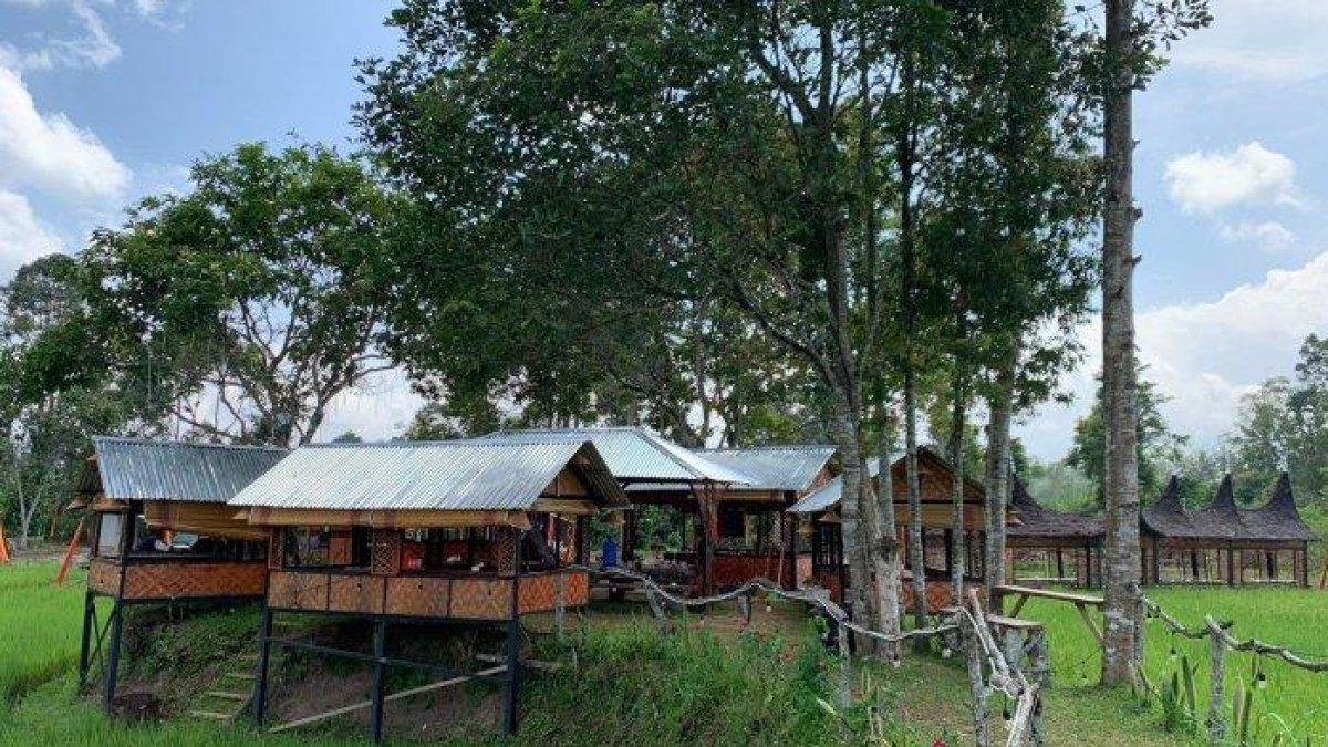 Menyatu dengan Alam, Wisata Baru di Sumatera Barat Di Kelilingi ...