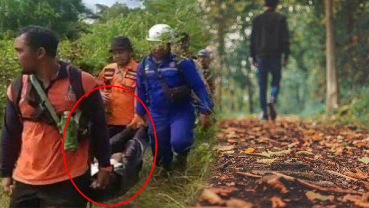 'Minum Air Seadanya' Haru Kakek 72 Tahun Selamat Setelah 4 Hari Tersesat di Hutan Baluran, Tak ...