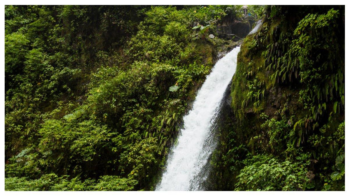 Eksplorasi Alam dan Budaya di Ende: Air Terjun, Alam Asri, dan Moke ...