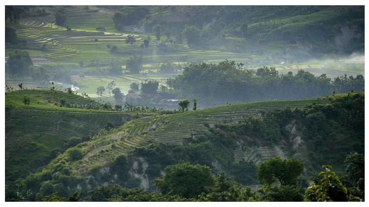 Bojonegoro Jatim Punya Bukit 853 Mdpl dengan Pemandangan yang Memukau ...