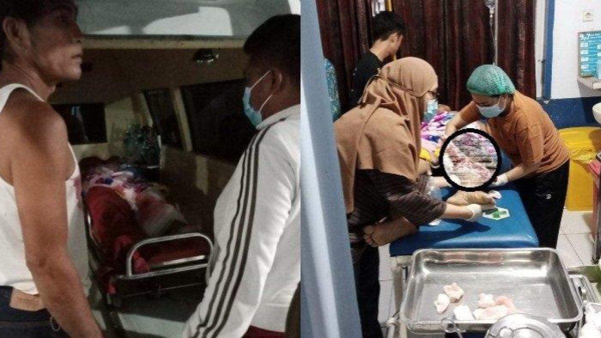 NGERI! Niat Menyelam Cari Ikan, Pria di Tolitoli Diterkam Buaya Besar di Laut Dondo, Nyaris ...