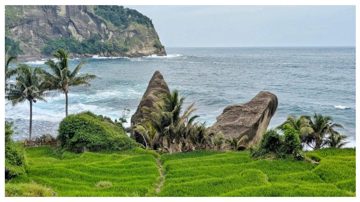 Pacitan Jatim Punya Pantai dengan Tebing Ikonik, Sawah Terasering ...