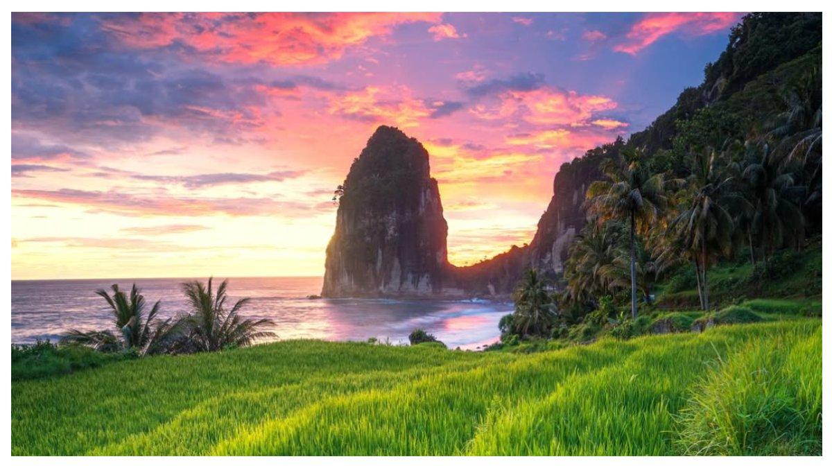 Pacitan Jatim Punya Pantai dengan Tebing Ikonik, Sawah Terasering ...