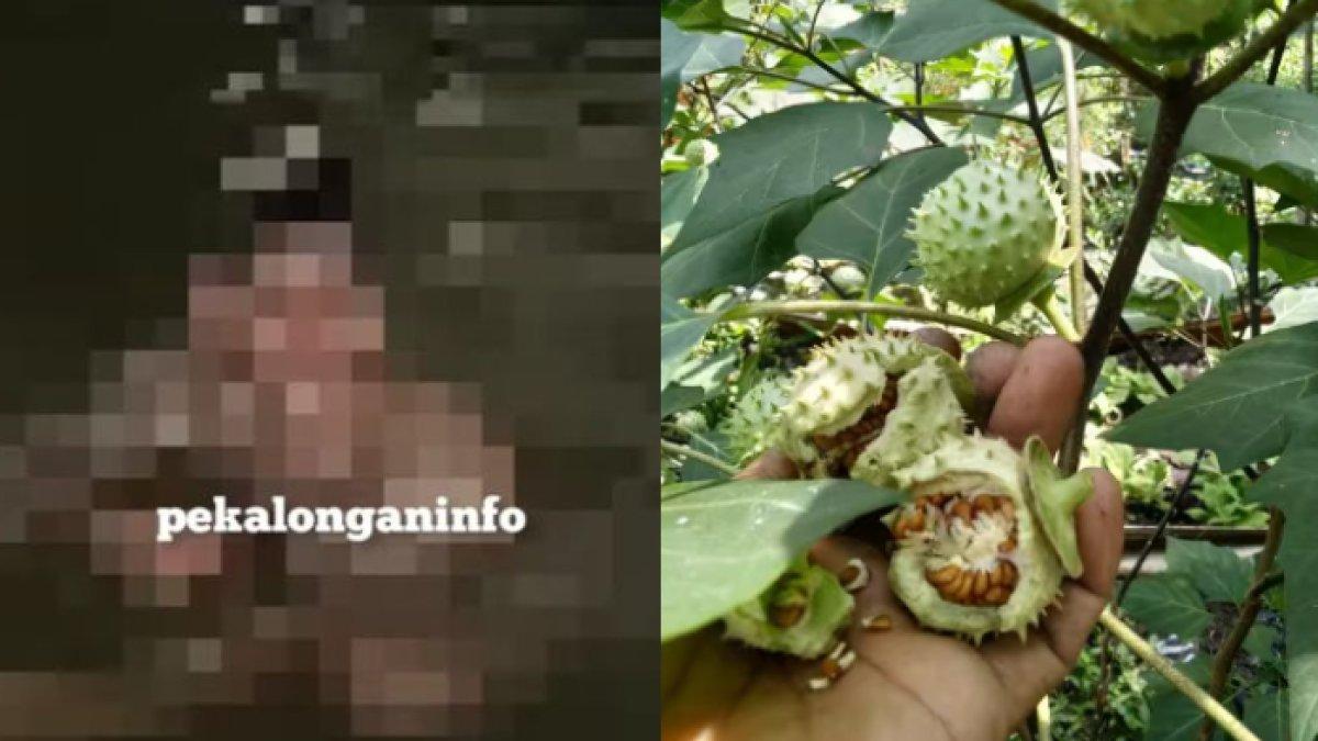 ASTAGA! Hilang Kendali, Pria di Pekalongan Renang Tanpa Busana di Kolam ...