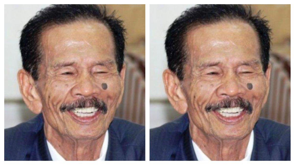 Sosok & Profil DL Sitorus, Lahan 47.000 Hektare Miliknya Disita ...