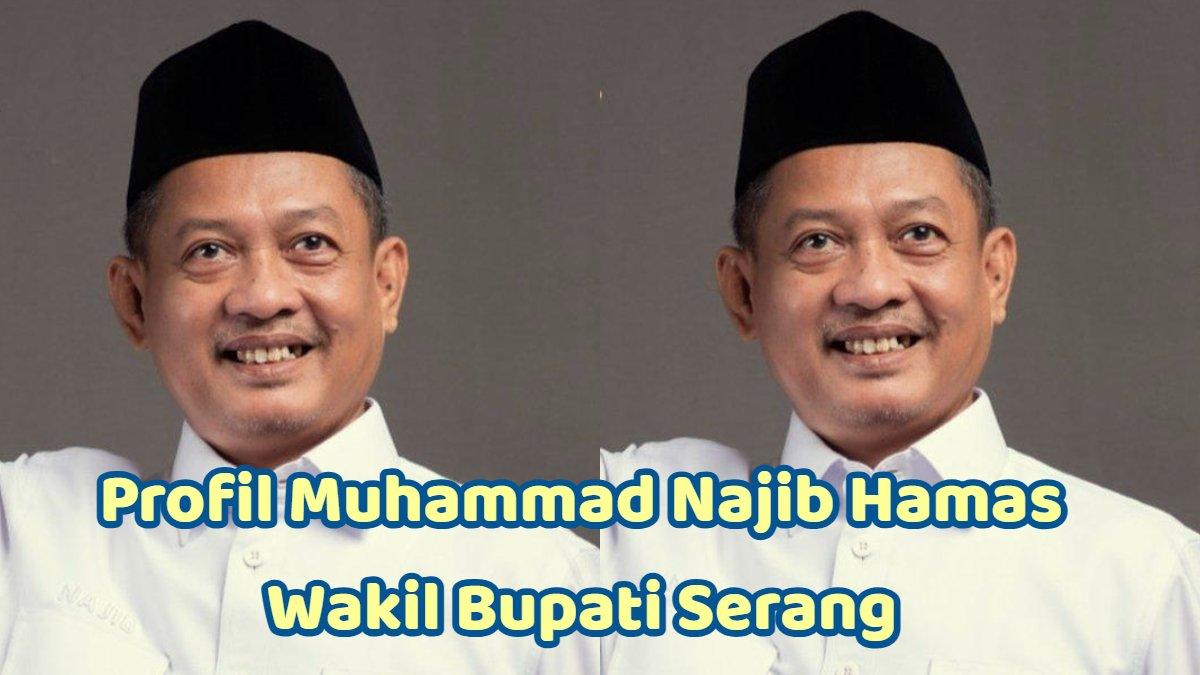 Sosok & Profil Muhammad Najib Hamas Wakil Bupati Serang 2025, Dulu ...