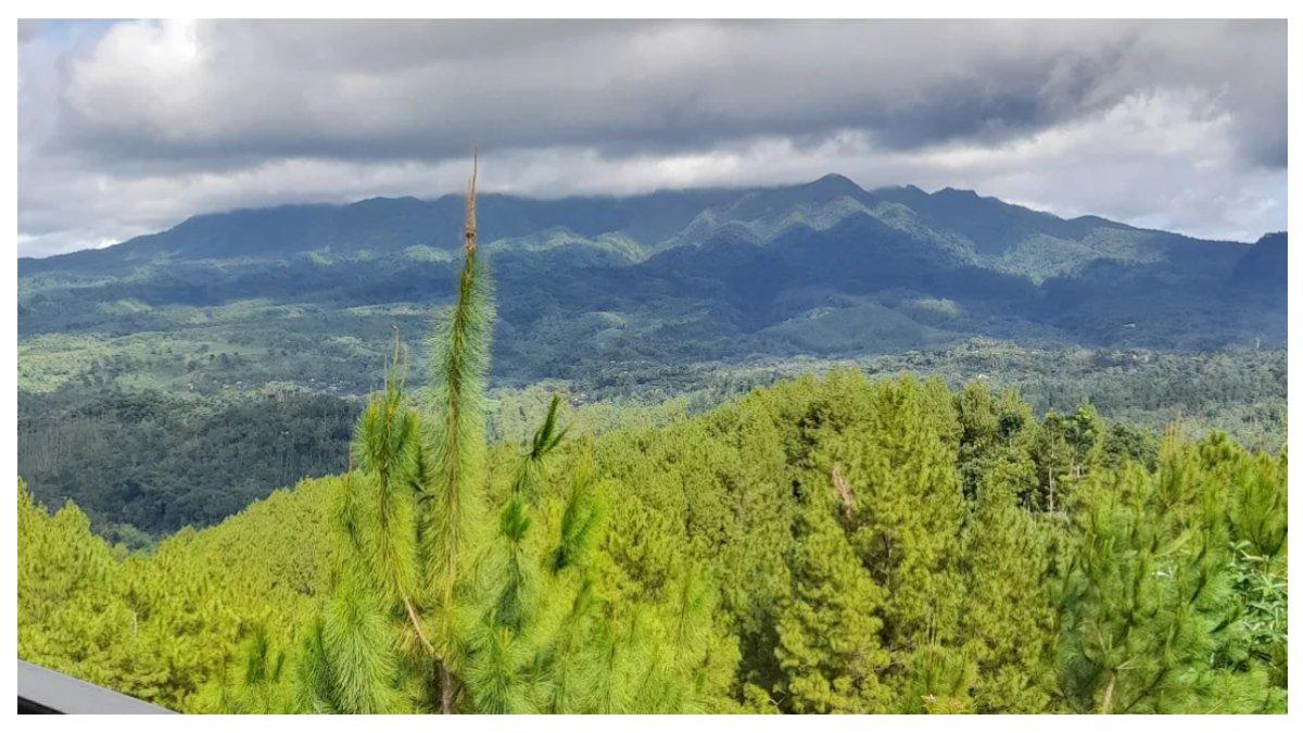 Blitar Jatim Tawarkan Spot Camping buat Healing dengan Pemandangan ...