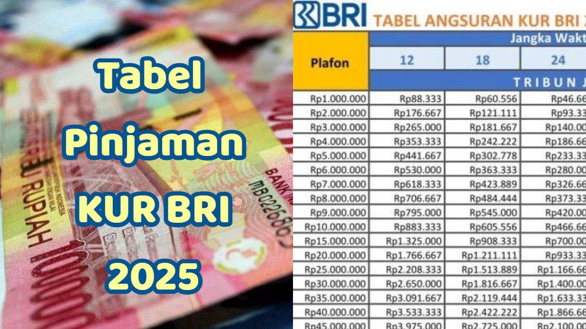 Tabel Pinjaman KUR BRI 2025 Lengkap, Simak Beda KUR Mikro & Kecil, Cek ...