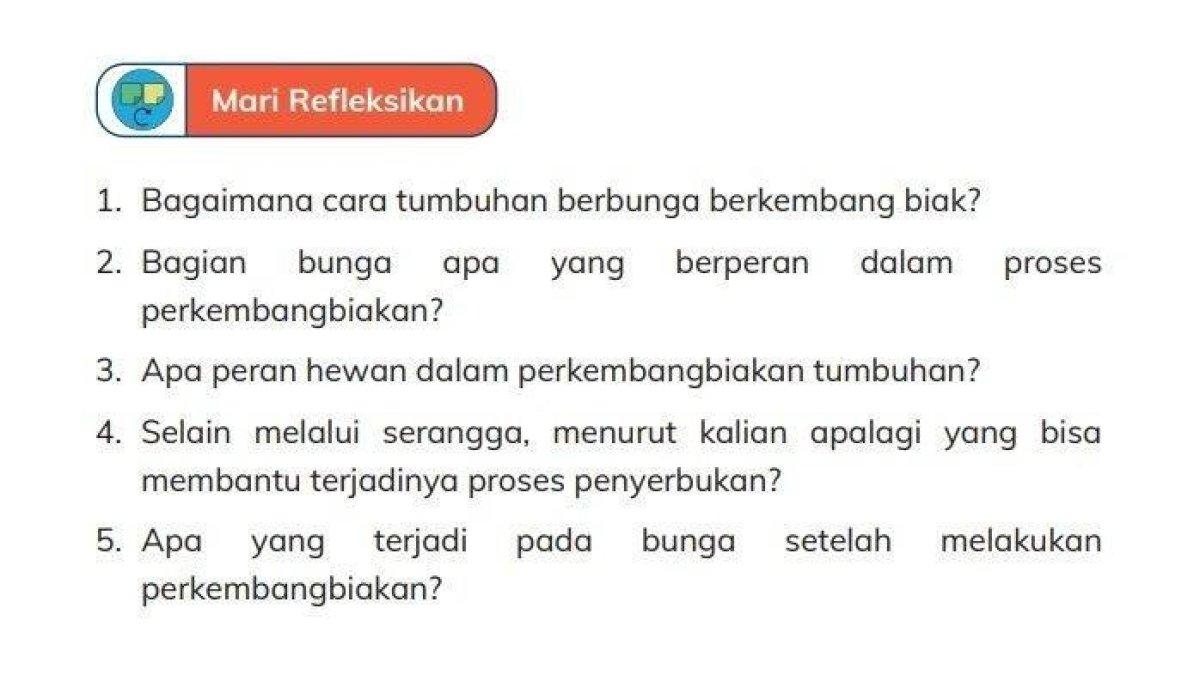 Soal & Kunci Jawaban IPAS Kelas 4 SD Halaman 20 - 21 : Mengapa Serangga ...