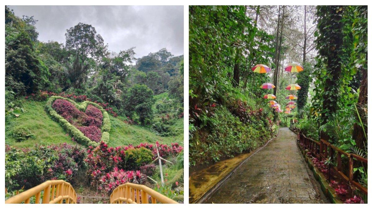 Ngawi Jatim Punya Air Terjun di Lereng Pegunungan, Banyak Spot ...