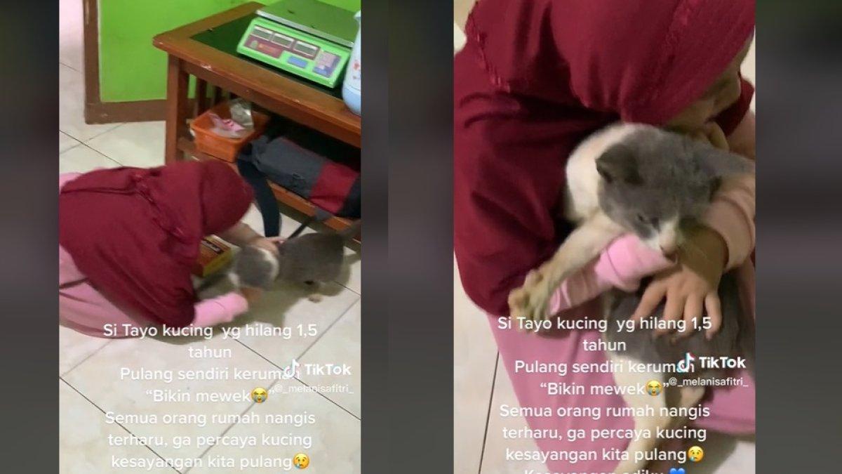 Viral Bocah Perempuan Menangis Haru saat Kucing yang Sudah 1,5 Tahun Hilang Tiba-tiba Pulang ...