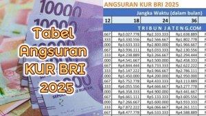 Tabel Angsuran KUR Mandiri 2025, Cek Cicilan Tertinggi & Terendah Pinjam Rp30 Juta, Ini Syarat ...
