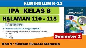 Soal & Kunci Jawaban Latihan PAS/UAS Mapel IPS Kelas 8 SMP/MTs Semester 1, Kurikulum Merdeka ...
