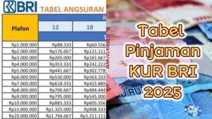 Tabel Angsuran KUR BNI 2025 Pinjam Rp25-500 Juta, Cicilan Terendah Rp483 Ribu, Ini Syarat ...