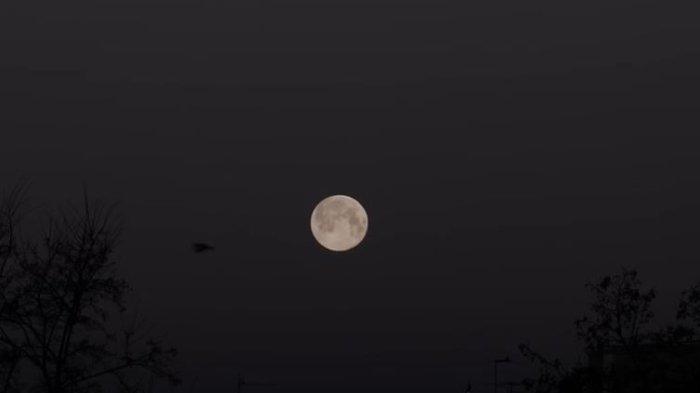 Arti Lagu Padang Bulan Ciptaan Sunan Giri: Padang Bulan Padange Koyo ...