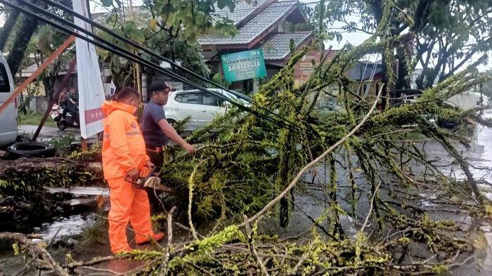 Hujan Deras Disertai Angin Kencang di Padang, Pohon Tumbang Timpa Kabel ...