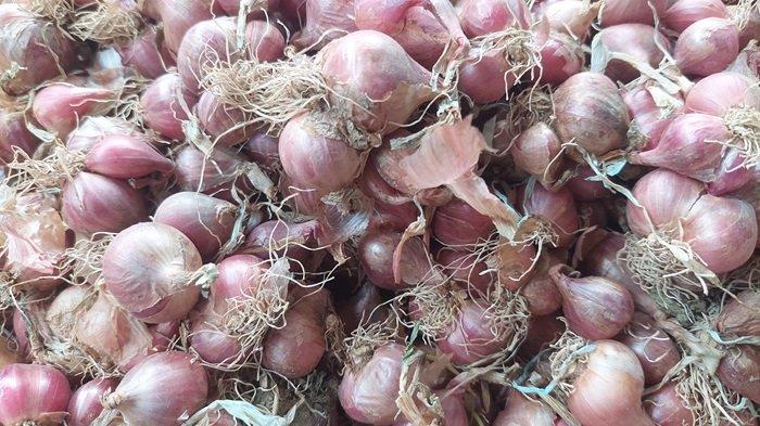Melambung Tinggi, Harga Bawang Merah di Pasar Sayur Alahan Panjang ...