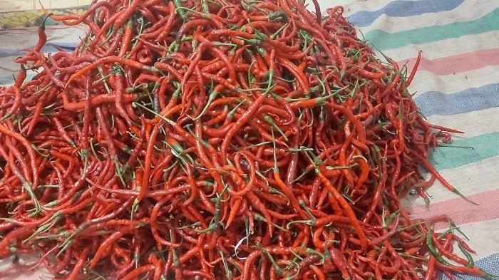 Harga Cabai Naik di Solok Selatan, Cek Daftar Lengkap Harga Sembako ...
