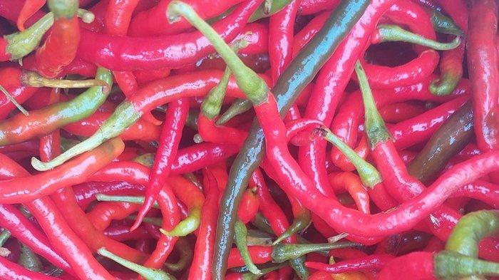 Harga Cabai Merah di Alahan Panjang Solok Naik, Tembus Rp55 Ribu per ...