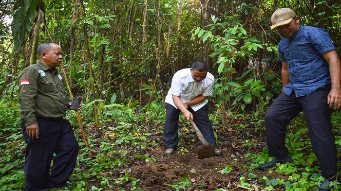 Peringati Hari Desa Asri Nusantara, Pemko Pariaman tanam pohon di Hutan Kota - Tribunpadang.com