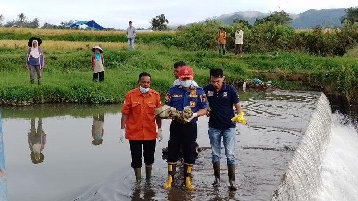 Geger! Mayat Bayi Baru Lahir Ditemukan Mengapung di Sungai Batang Buo ... Geger! Mayat Bayi Baru Lahir Ditemukan Mengapung di Sungai Batang Buo ...