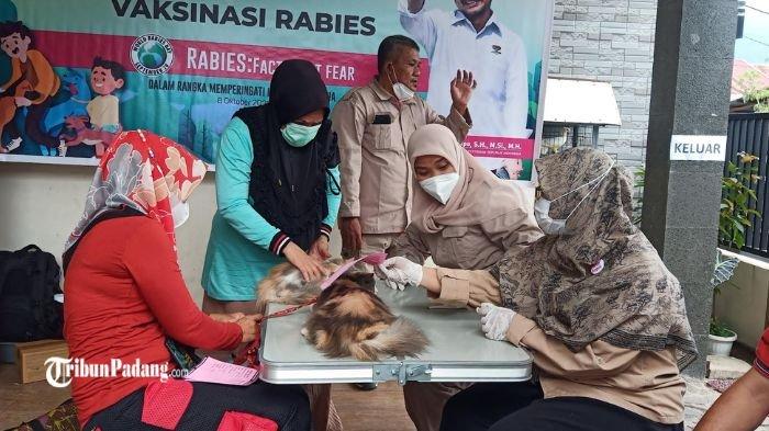 Distan Padang Perpanjang Pemberian Vaksin Rabies di Pauh hingga 1 Oktober 2023, Tersedia 1.000 ...