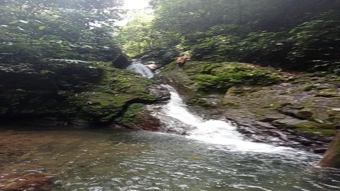 Sarasah Banda Langsung: Surga Tersembunyi di Batu Gadang, Lubuk ...