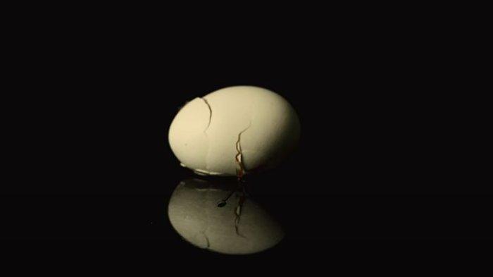 Arti Lagu Golden Hour Mark NCT: You Know We Live in a World that, Kisah ...