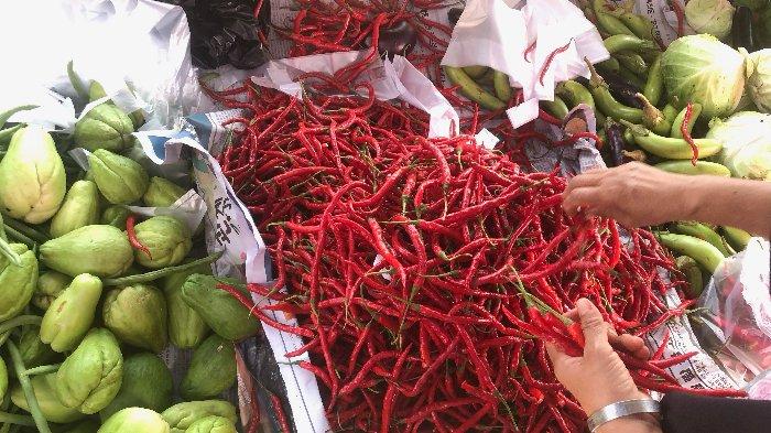 Naik Lagi, Harga Cabai Merah di Sijunjung Tembus Rp120 Ribu Sekilo, Rawit Rp100 Ribu ...
