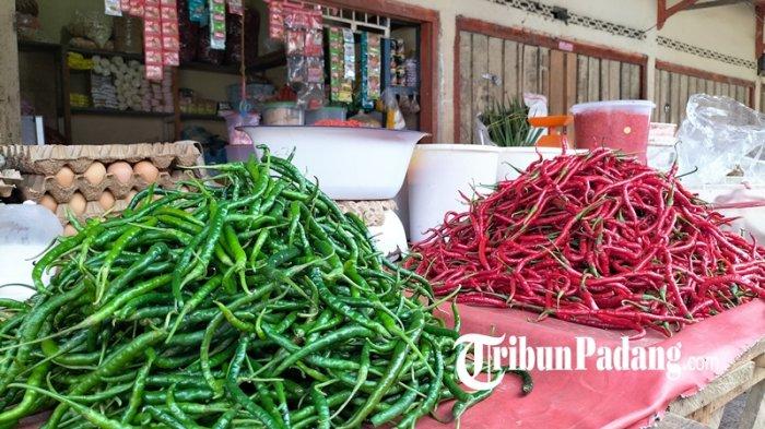 Harga Cabai Merah di Agam Makin Pedas, Sekilo Sudah Rp 100 Ribu di ...