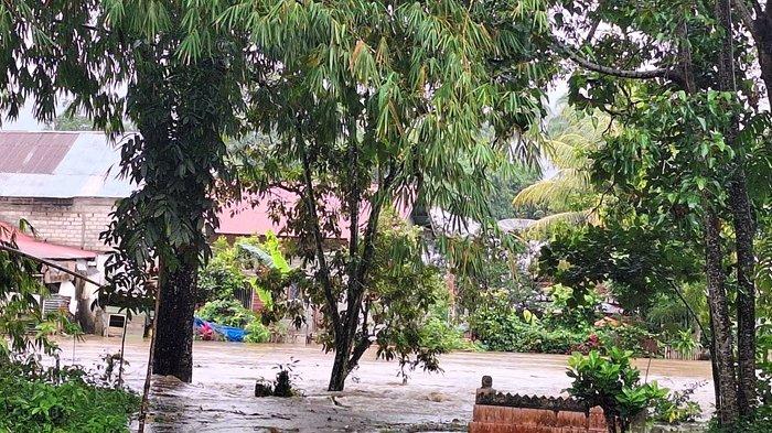 Ratusan Rumah Terdampak, Hujan Deras di Kabupaten Solok Picu Banjir, Longsor, dan Pohon Tumbang ...