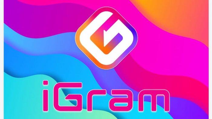 Begini Cara Download Video Instagram tanpa Aplikasi, Pakai Website ...