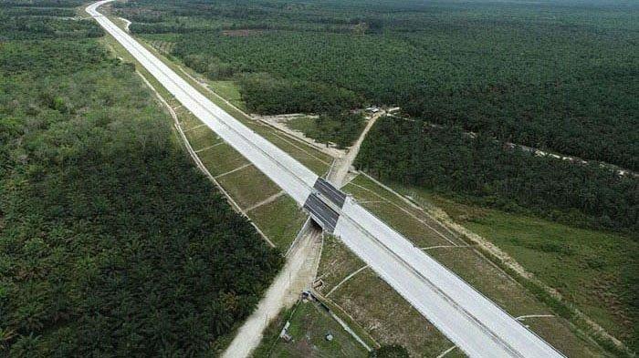 Pembangunan Jalan Tol Padang-Pekanbaru Seksi V Pangkalan-Bangkinang Capai 59 Persen ...