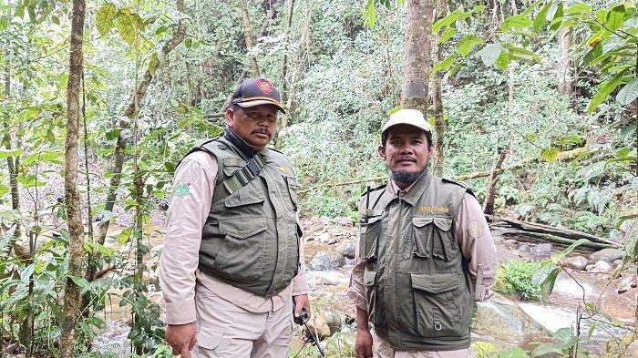 Sosok Jasrialdi dan Jasmir, Rela Pertaruhkan Nyawa Demi Menjaga Hutan ...