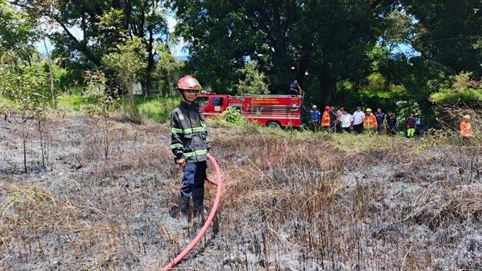 Kebakaran Lahan 700 Meter Persegi di Lubuk Kilangan Padang, Damkar ...