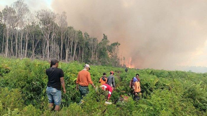 Update Kebakaran Hutan di Silaut Pesisir Selatan, 2 Titik Api Sudah ...
