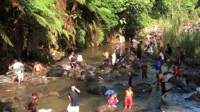 Tradisi Ikan Larangan di Lubuk Landur Pasaman Barat Sudah Berlangsung 168 Tahun - Tribunpadang.com