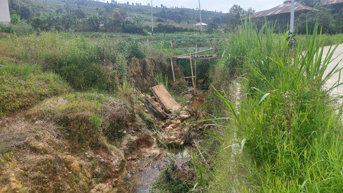 Sepekan Cuaca Panas di Solok Sumbar, BPBD Imbau Masyarakat Waspadai Kebakaran Hutan dan Lahan ...