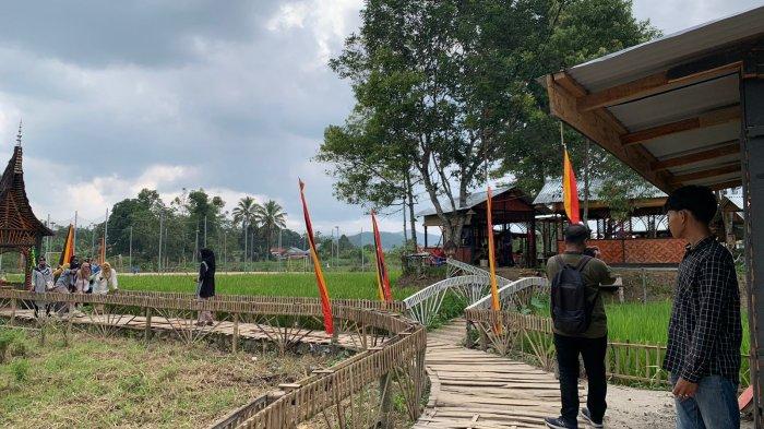 FOTO Magek Kapecong Objek Wisata Sawah dengan Spot Foto, Menarik ...