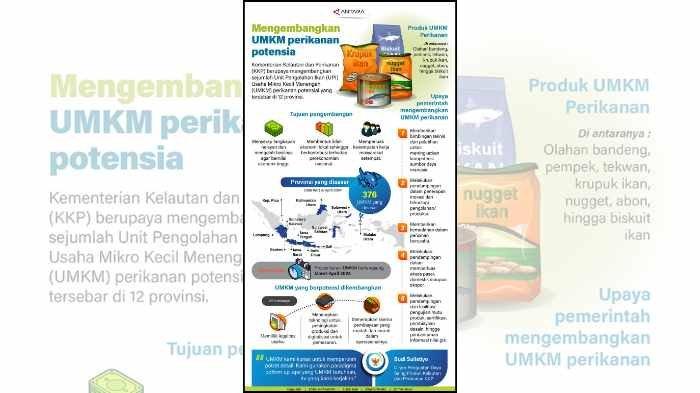 Infografis: Mengembangkan UMKM Perikanan Potensial - Tribunpadang.com