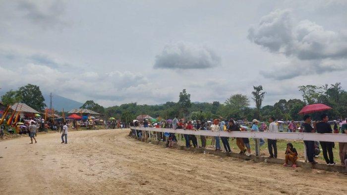FOTO Pacu Kudo di Bukit Ambacang Bukittinggi, Gelanggangnya Ternyata ...