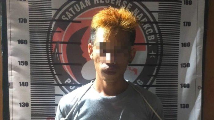Simpan Sabu dan Ganja, Residivis Kasus Narkoba Kembali Diringkus Polresta Padang - Tribunpadang.com