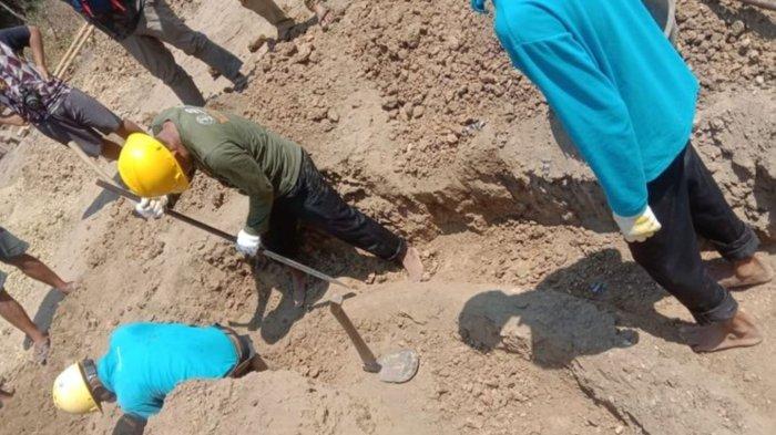 Berita Viral: Penemu Fosil Gading Gajah Purba di Sragen akan Terima ...