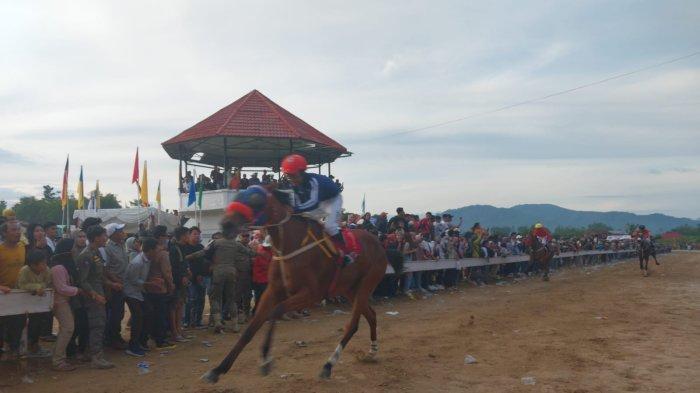 Lima Ekor Kuda Pacu Kelas Derby Berlaga di Bukit Ambacang Bukittinggi ...